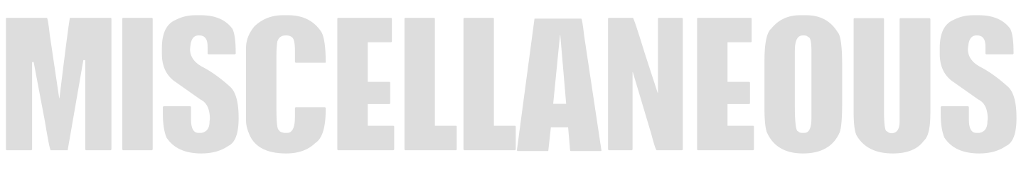 Miscellaneous Games – Heavy Iron Studios